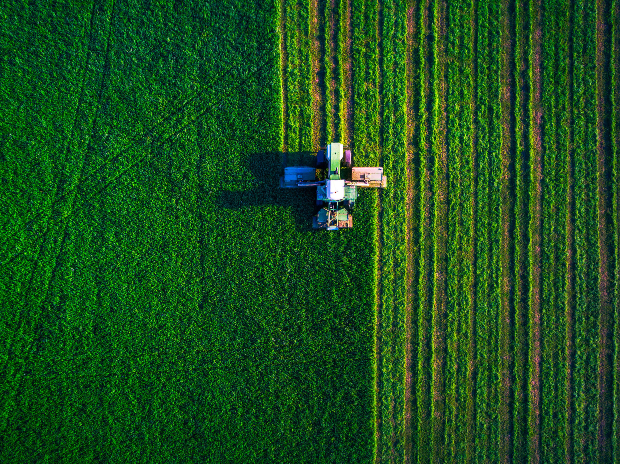 Moving towards circular nutrient management: RENURE approved under the ...